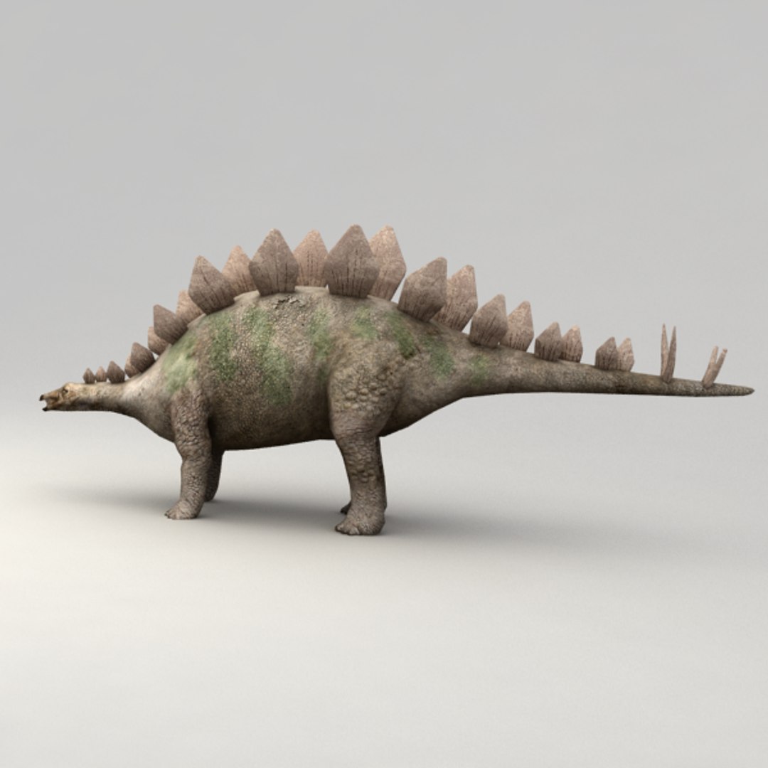 stegosaurus rigged 3d model