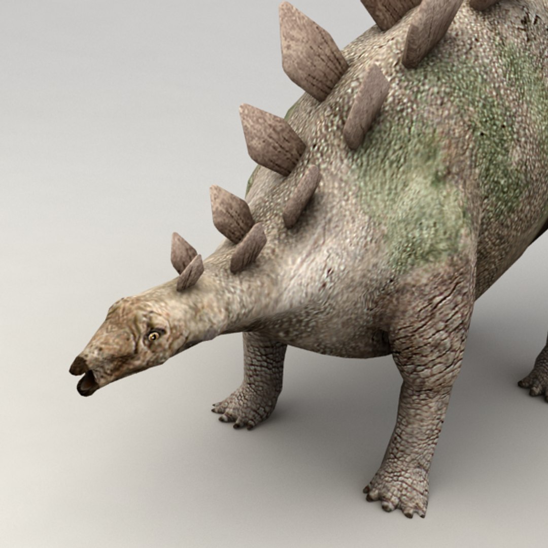 stegosaurus rigged 3d model