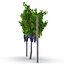 vineyard red grapes 3d model
