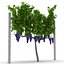 vineyard red grapes 3d model