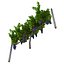 vineyard red grapes 3d model