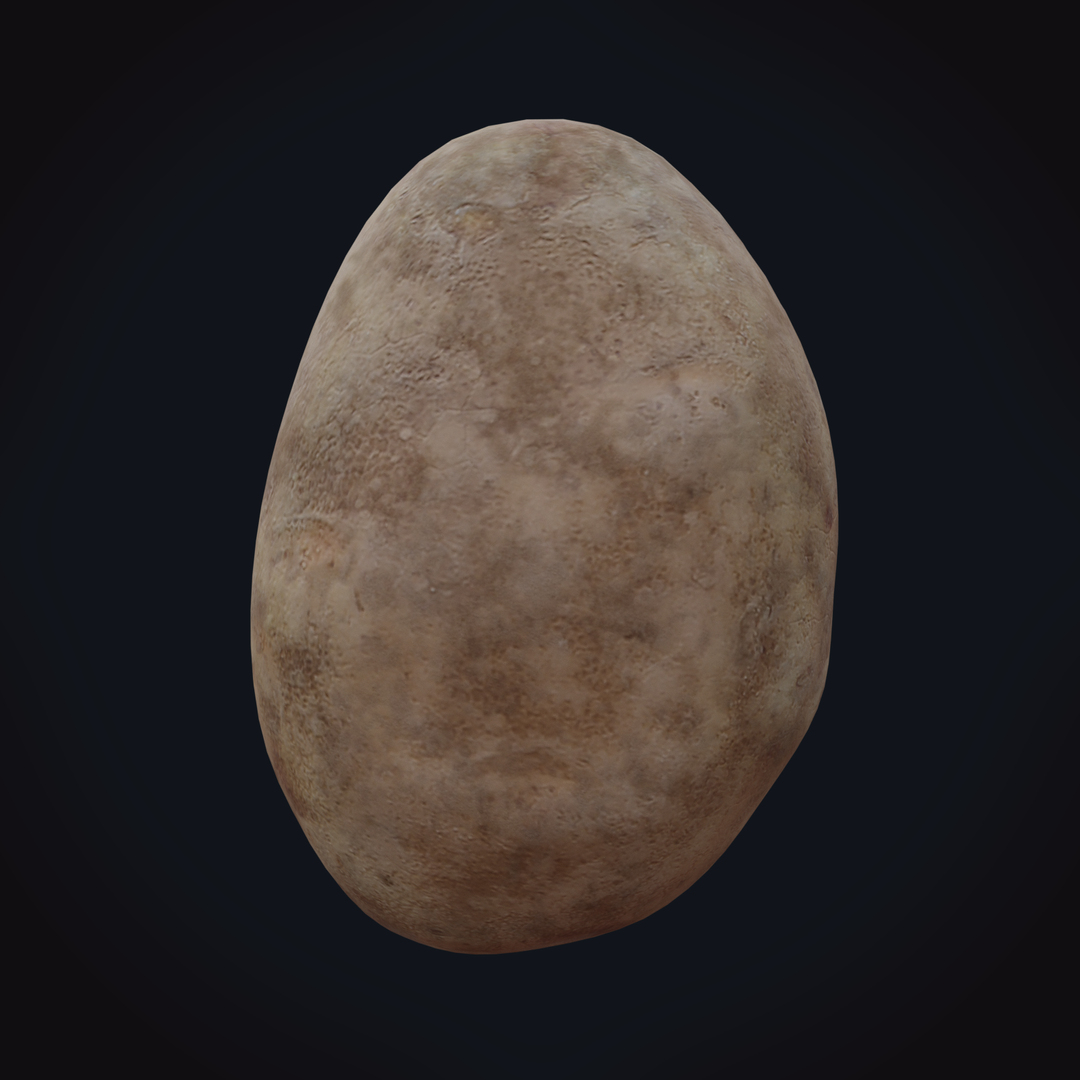 Potato 1 3D model - TurboSquid 1365986