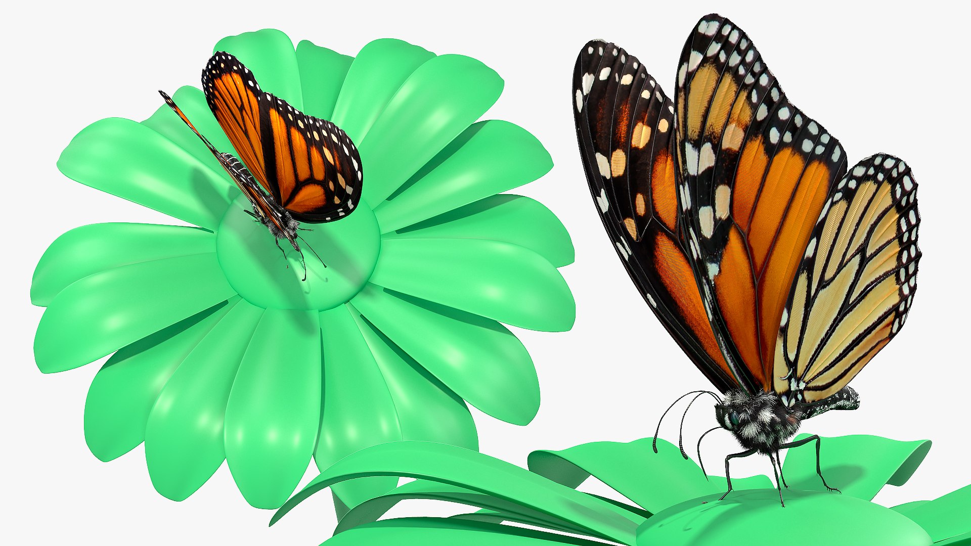 Monarch Butterfly Sits Flower Model - TurboSquid 1566805