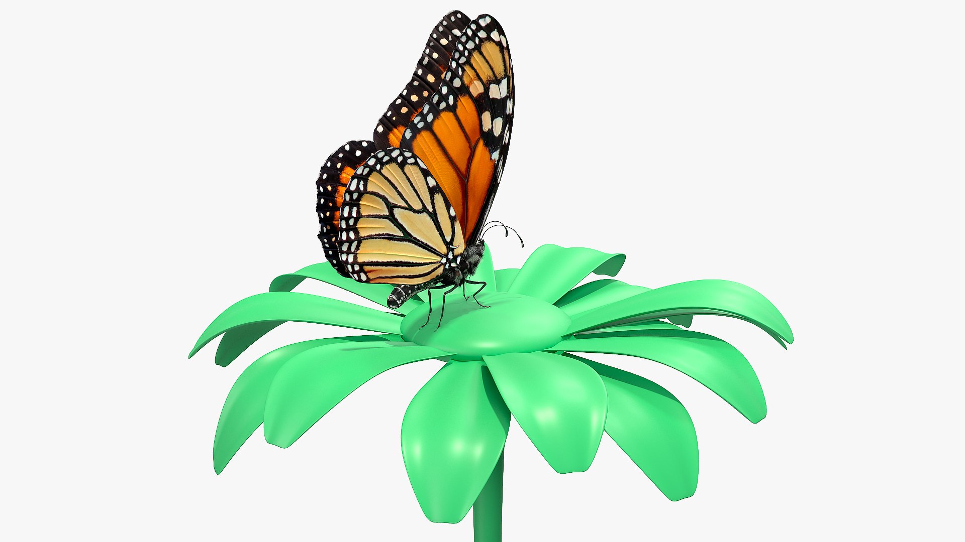Monarch Butterfly Sits Flower Model - TurboSquid 1566805
