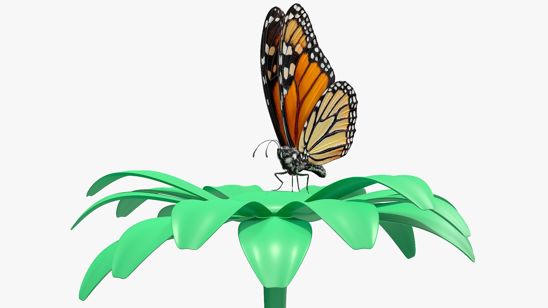 Monarch Butterfly Sits Flower Model - TurboSquid 1566805