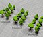 3d Model Trees Different Mesh