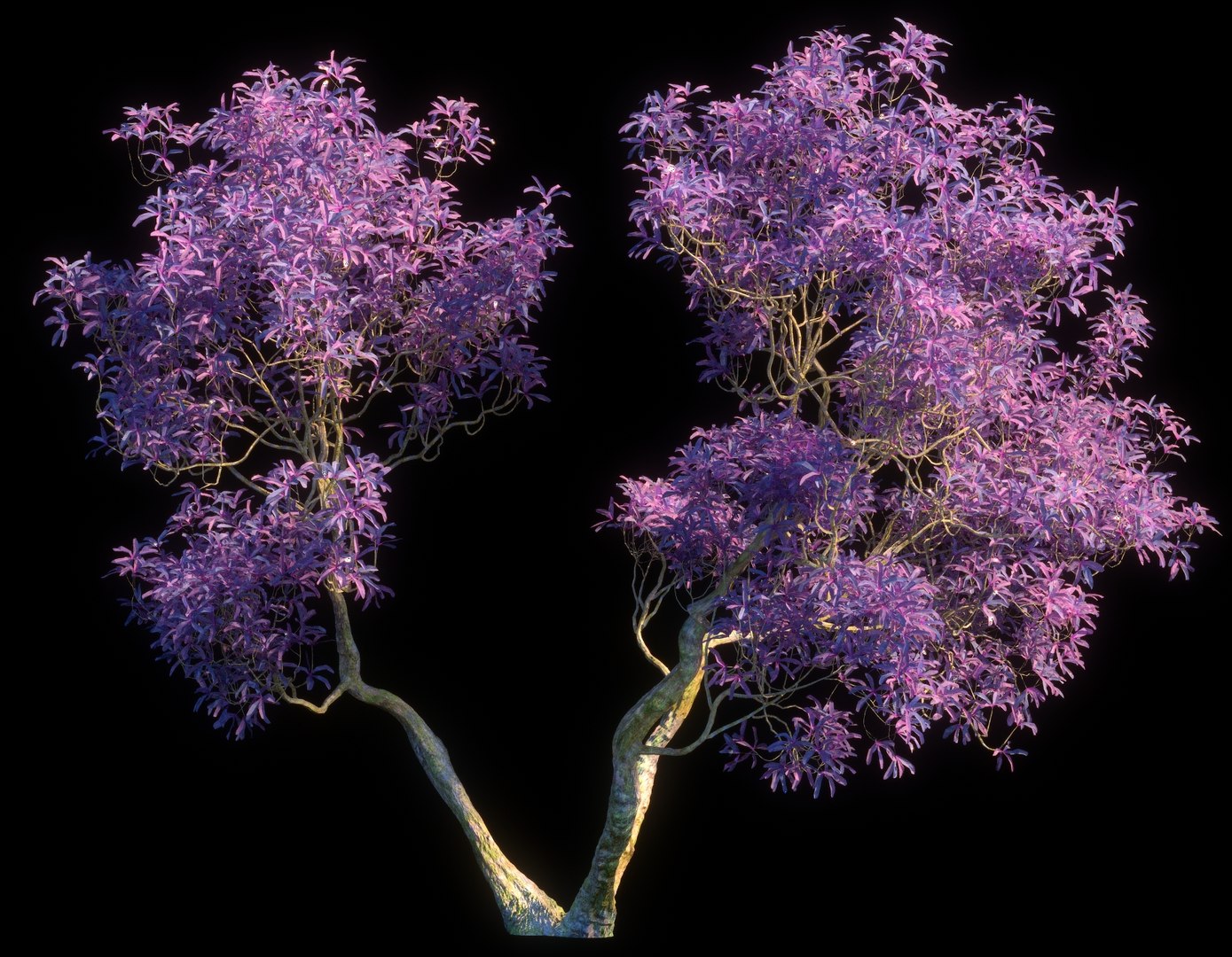 3D Spring Trees Hd Model - TurboSquid 1550606