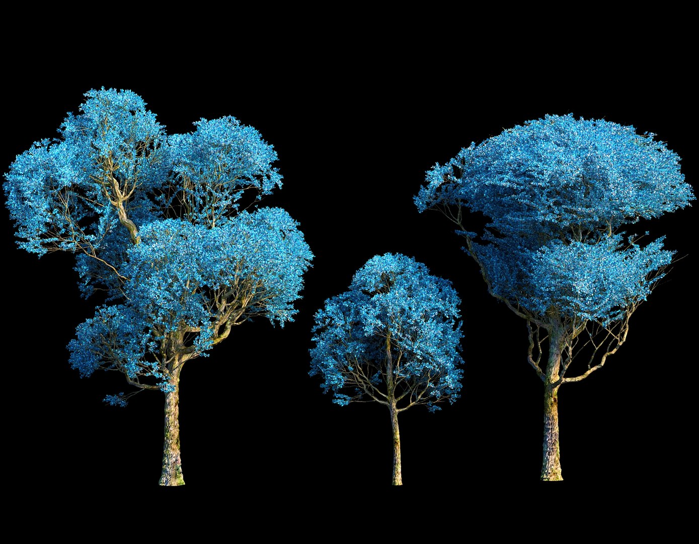 3D Spring Trees Hd Model - TurboSquid 1550606