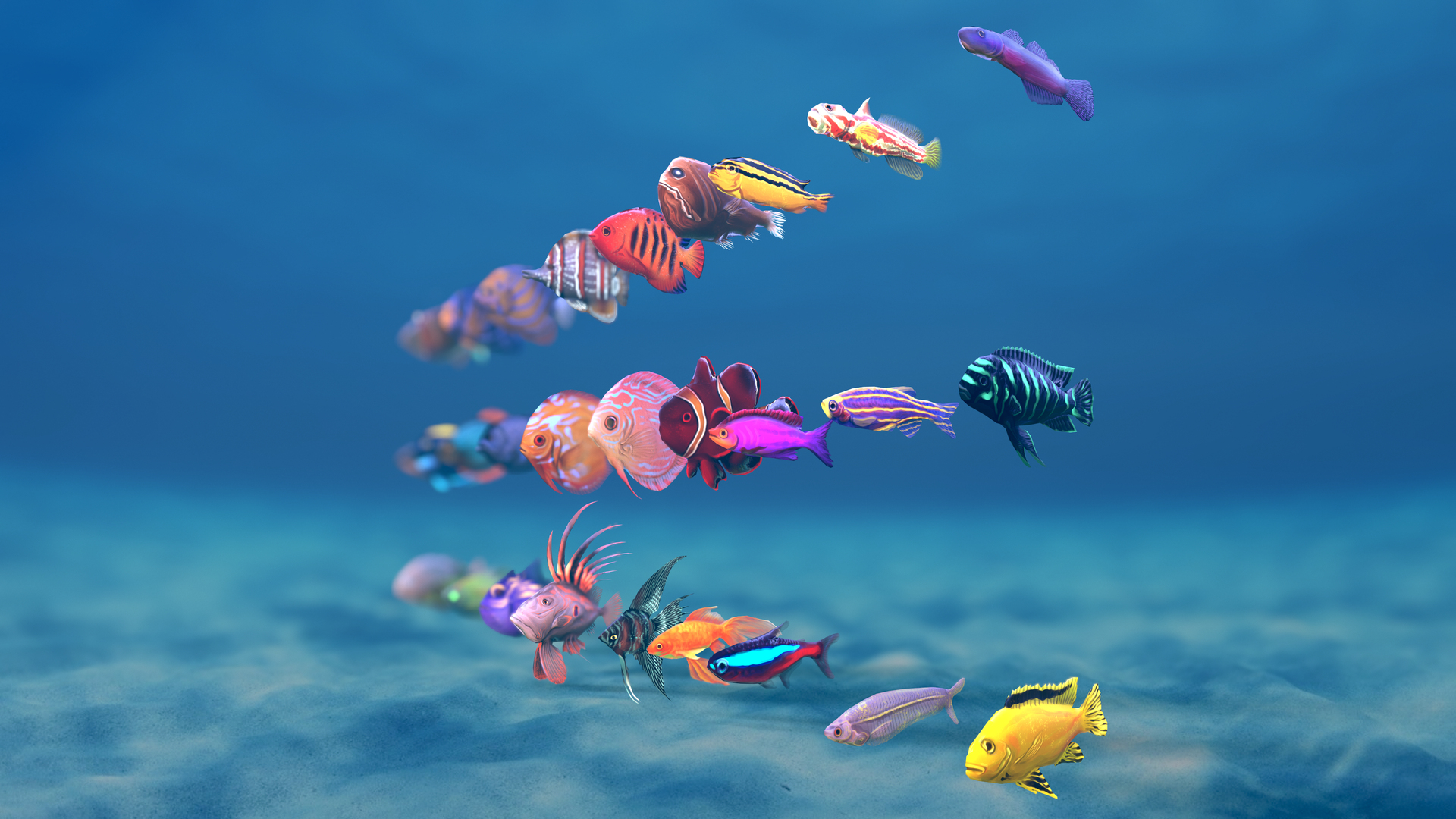 3D model stylized small fishes - TurboSquid 1696233