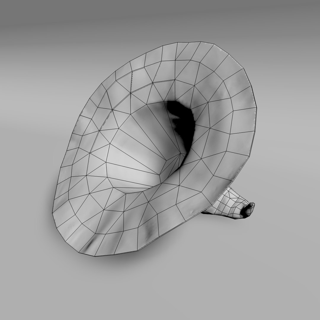 3d Hat Low-poly