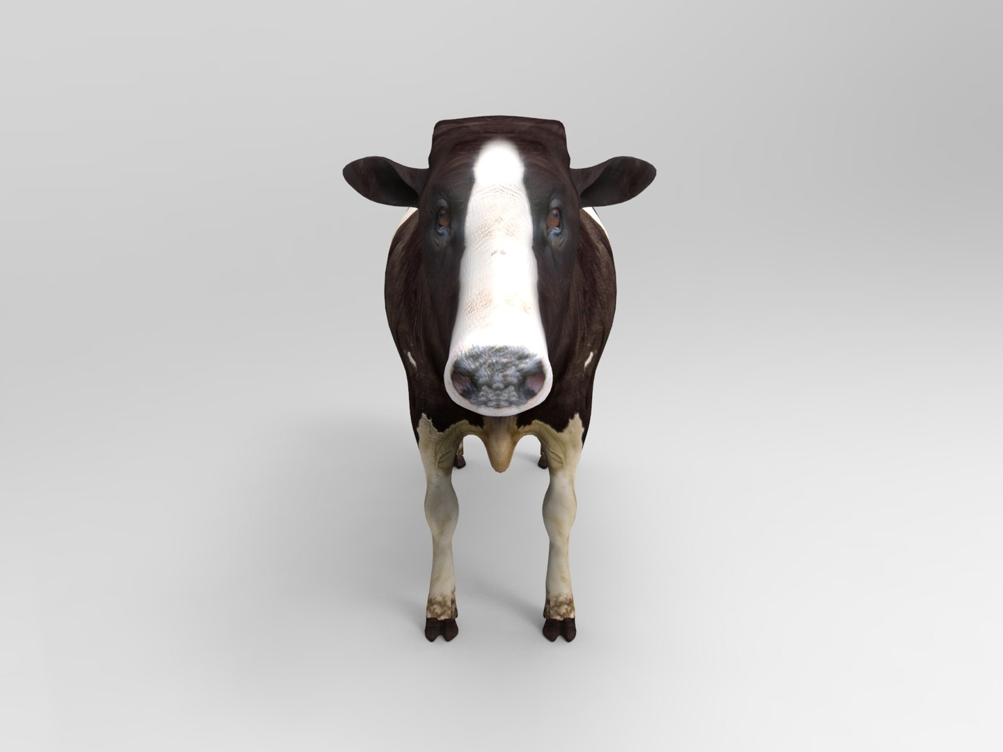 3D Cow Cattle - TurboSquid 1196407