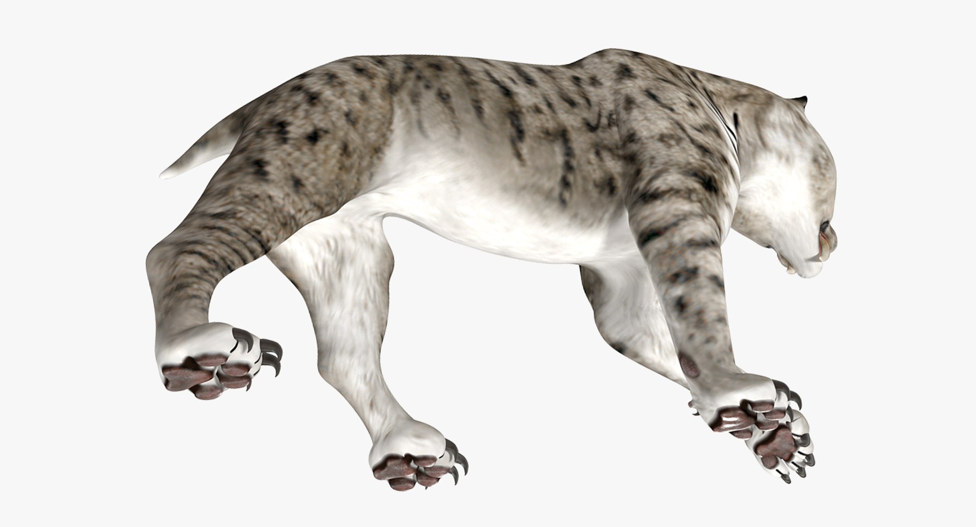 Arctic Saber Tooth Cat Model - TurboSquid 1329528