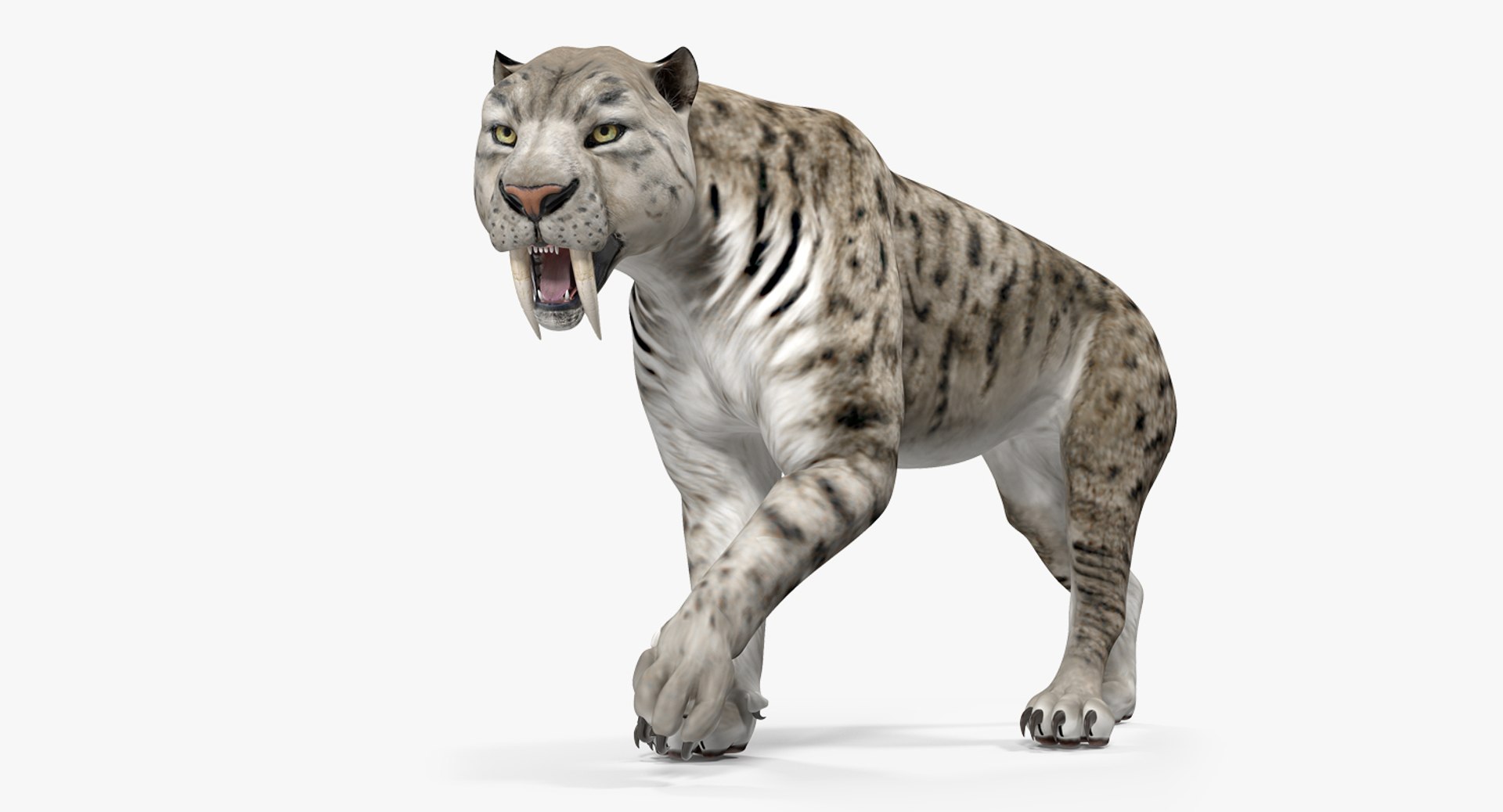 Arctic Saber Tooth Cat Model - TurboSquid 1329528