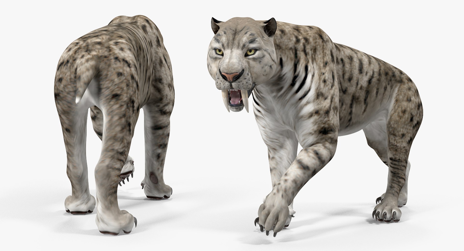 Arctic Saber Tooth Cat Model - TurboSquid 1329528