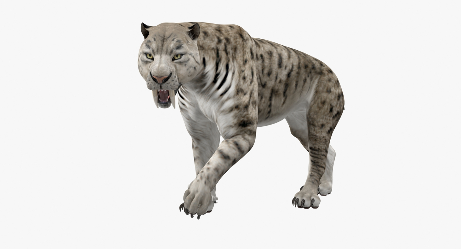 Arctic Saber Tooth Cat Model - TurboSquid 1329528