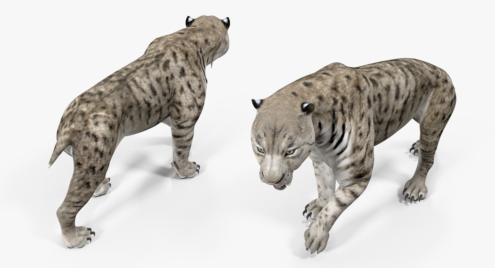 Arctic Saber Tooth Cat Model - TurboSquid 1329528