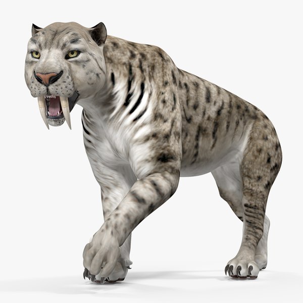 Arctic saber tooth cat model - TurboSquid 1329528
