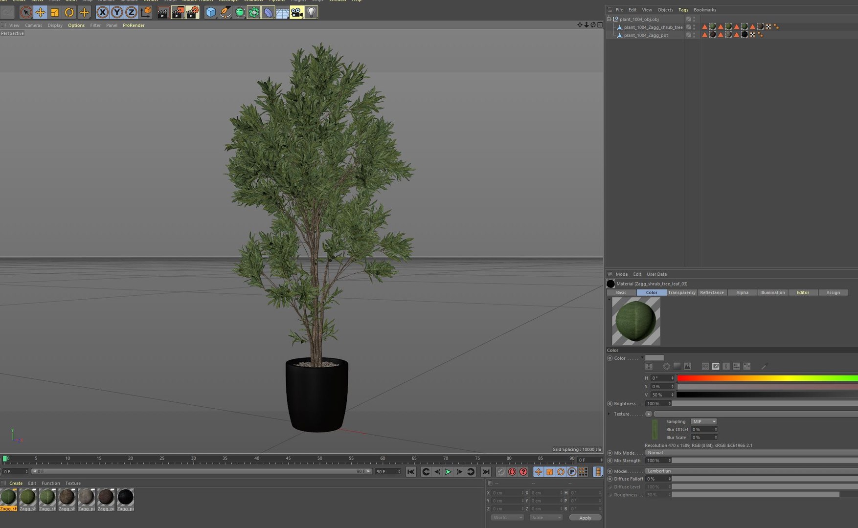3D model Plants collection 1004 - TurboSquid 2141619