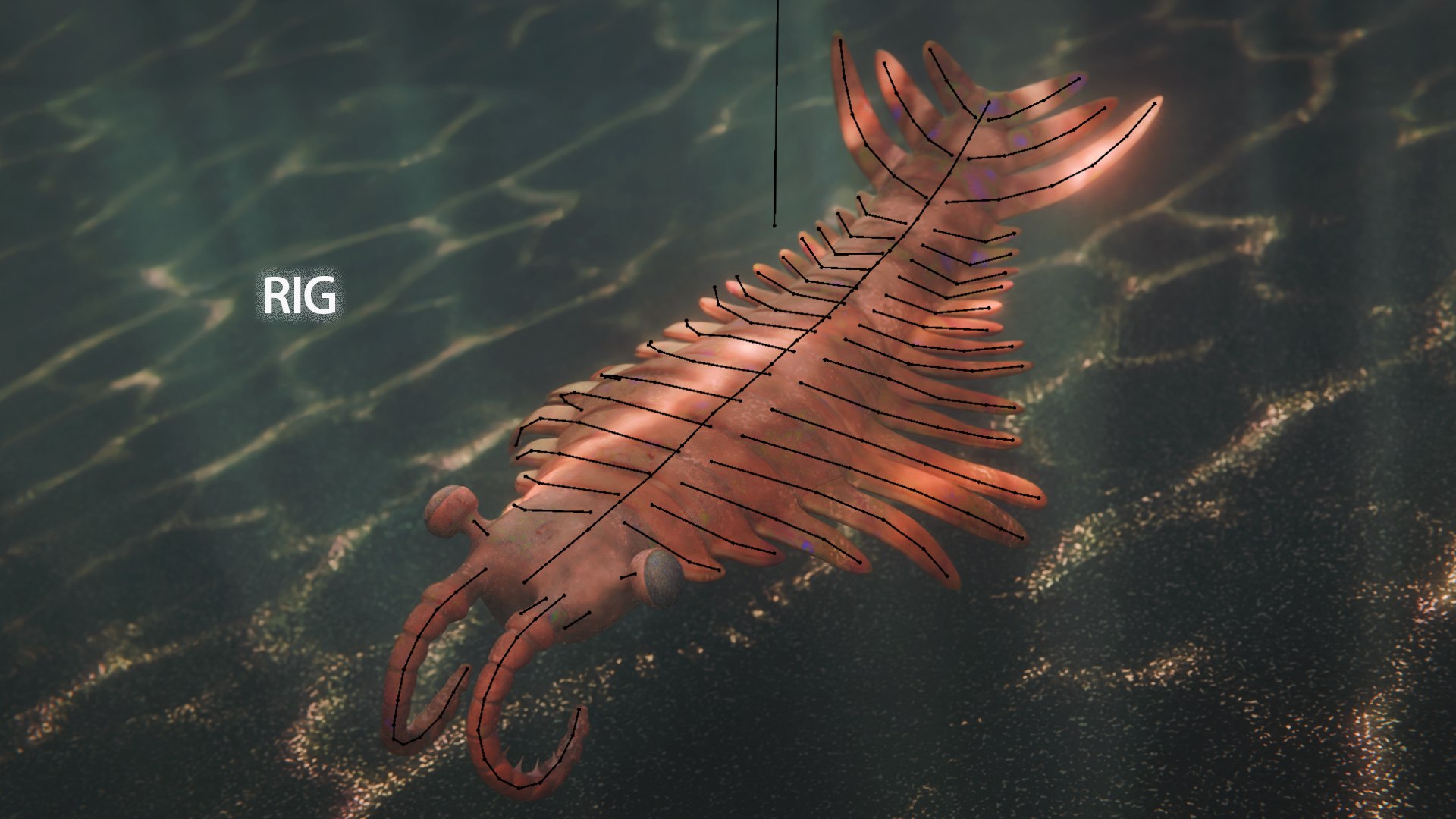 Anomalocaris Model - TurboSquid 2331003