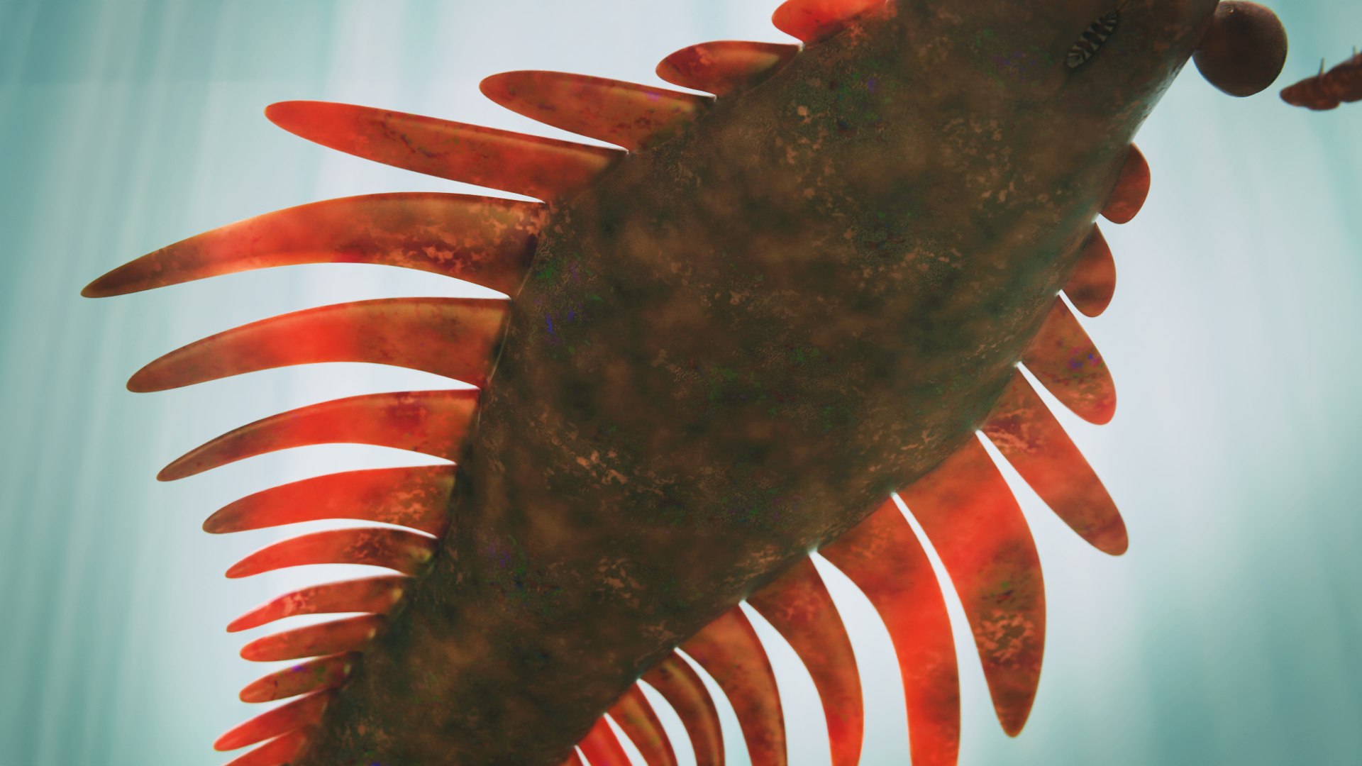 Anomalocaris Model - TurboSquid 2331003