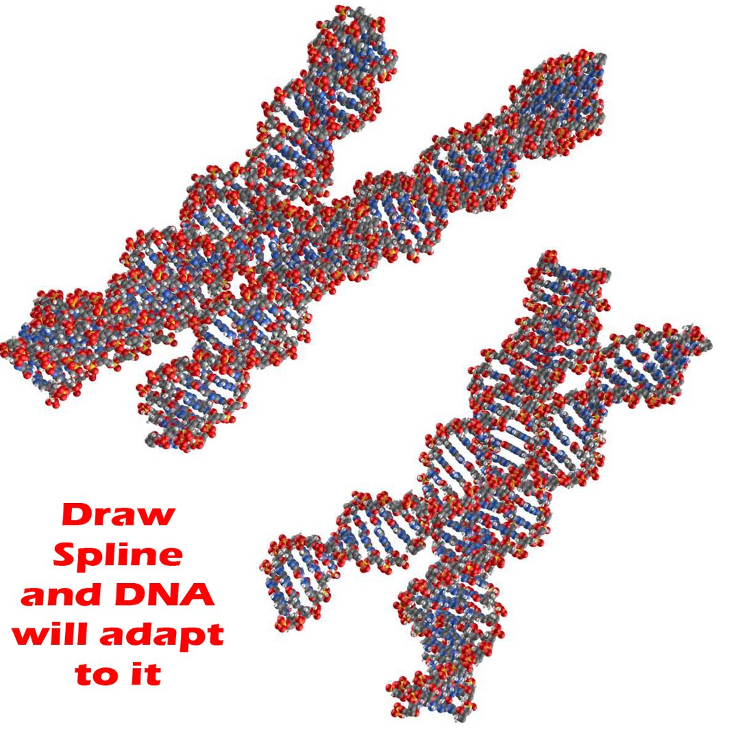 Dna Adenine C4d