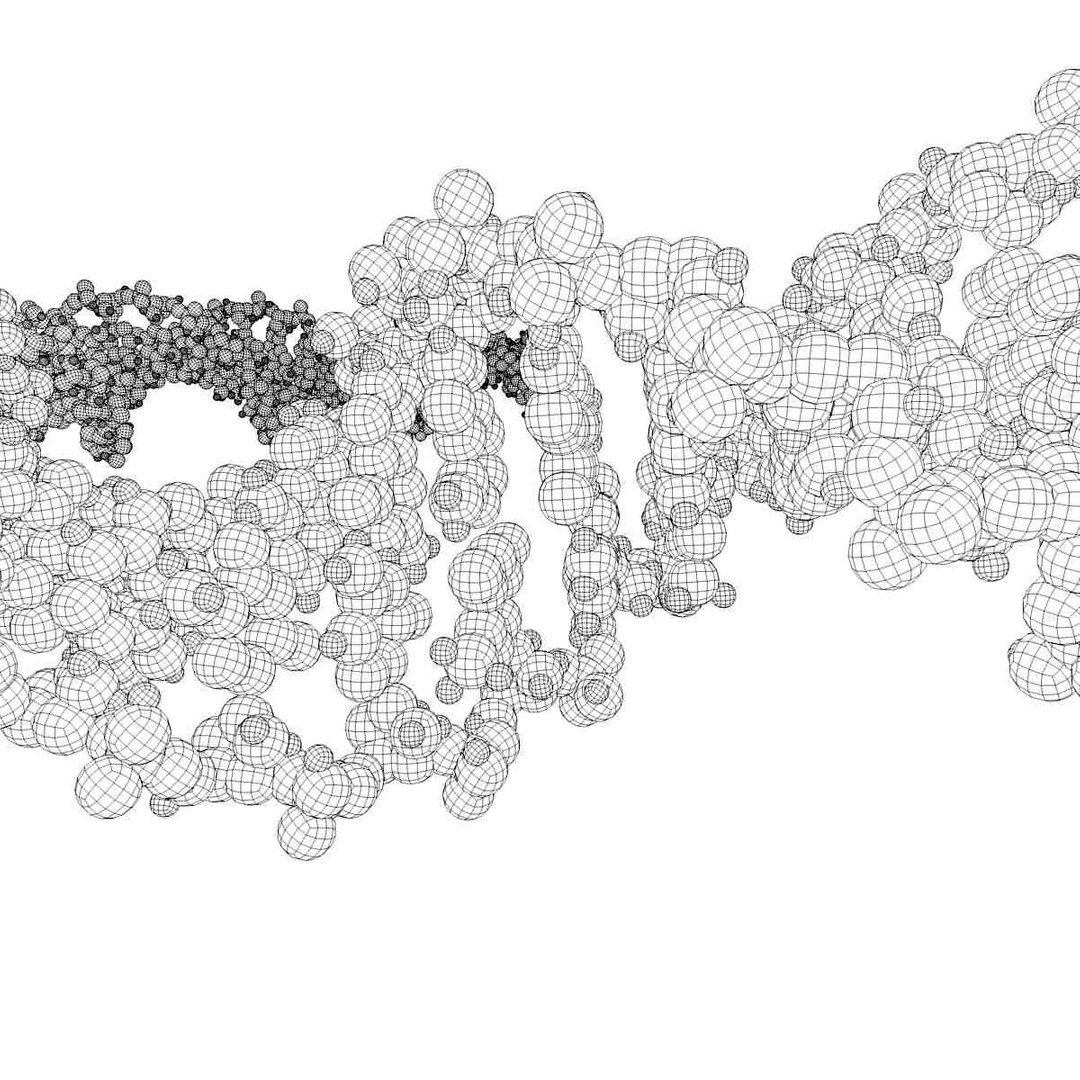 Dna Adenine C4d
