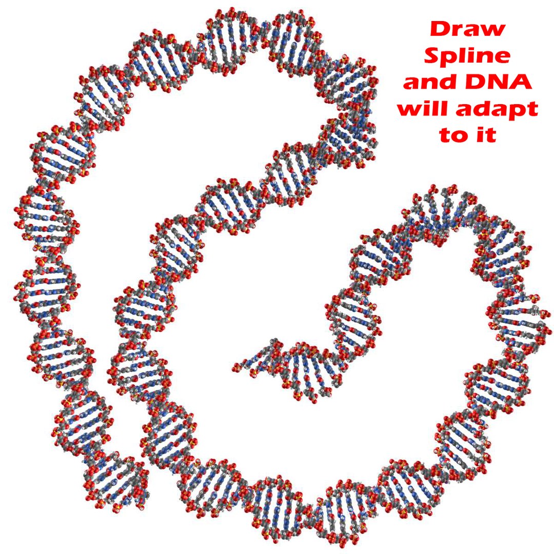 Dna Adenine C4d