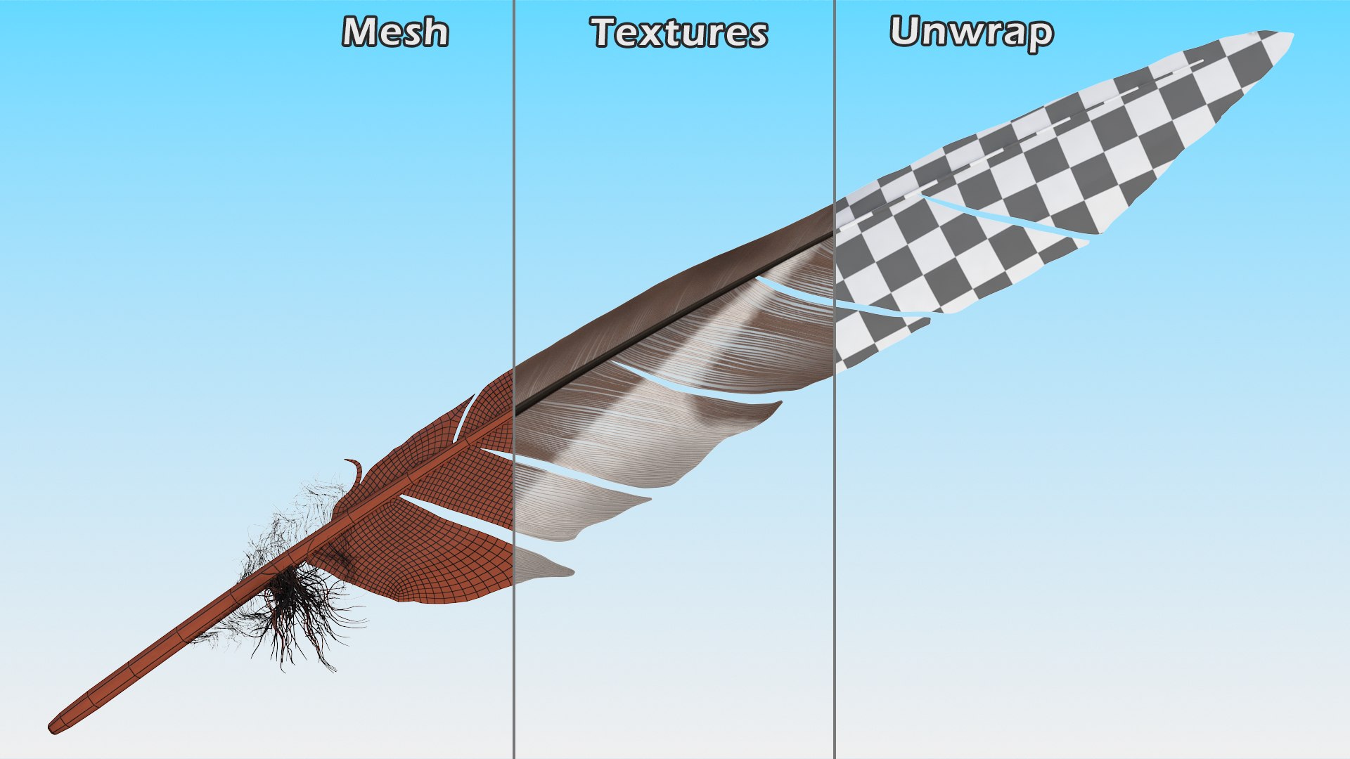 Gull Feather 3D - TurboSquid 2163545
