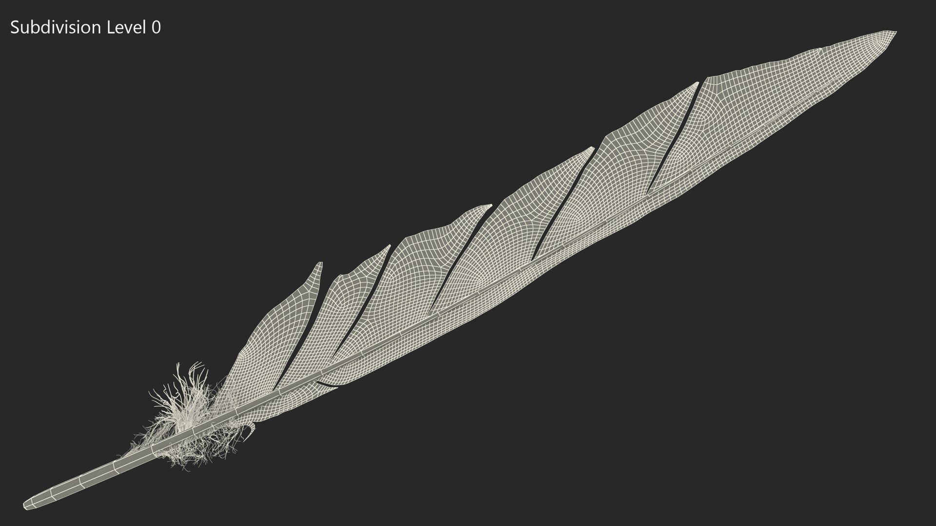 Gull Feather 3D - TurboSquid 2163545