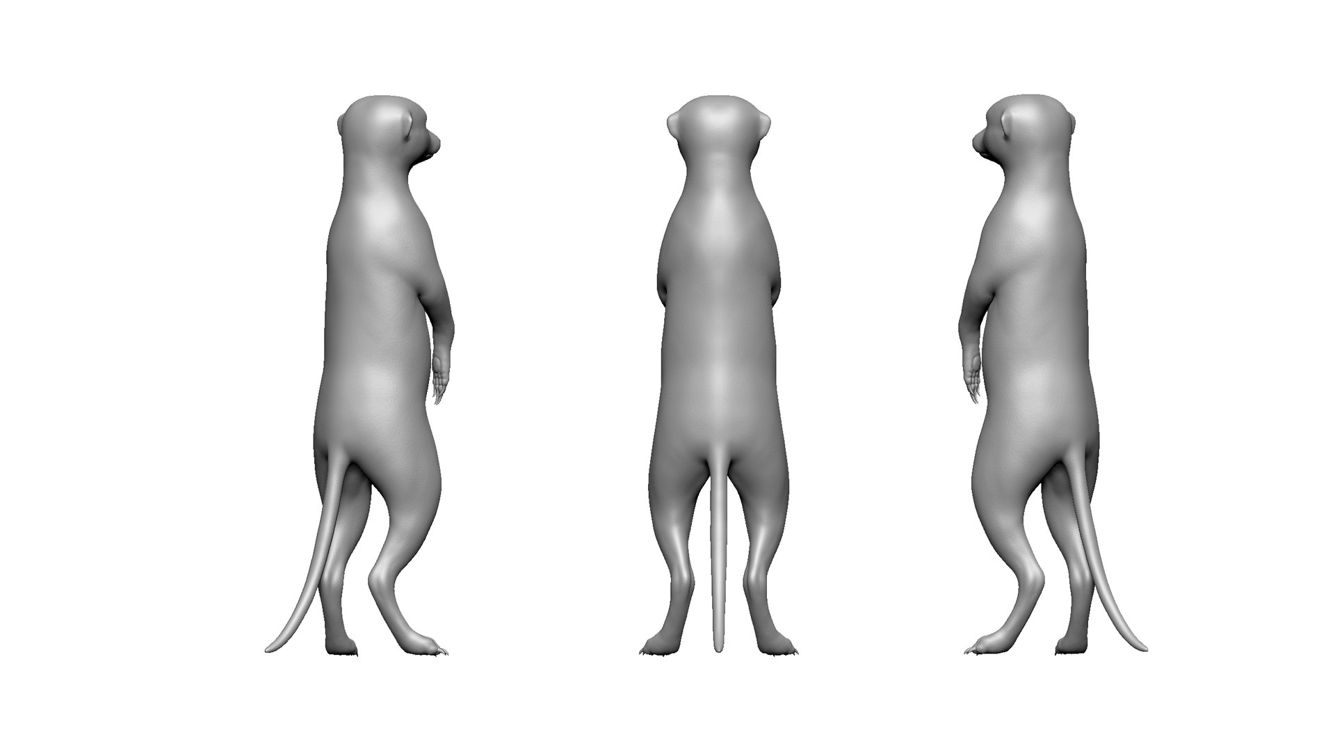 Meerkat Model - TurboSquid 2277917