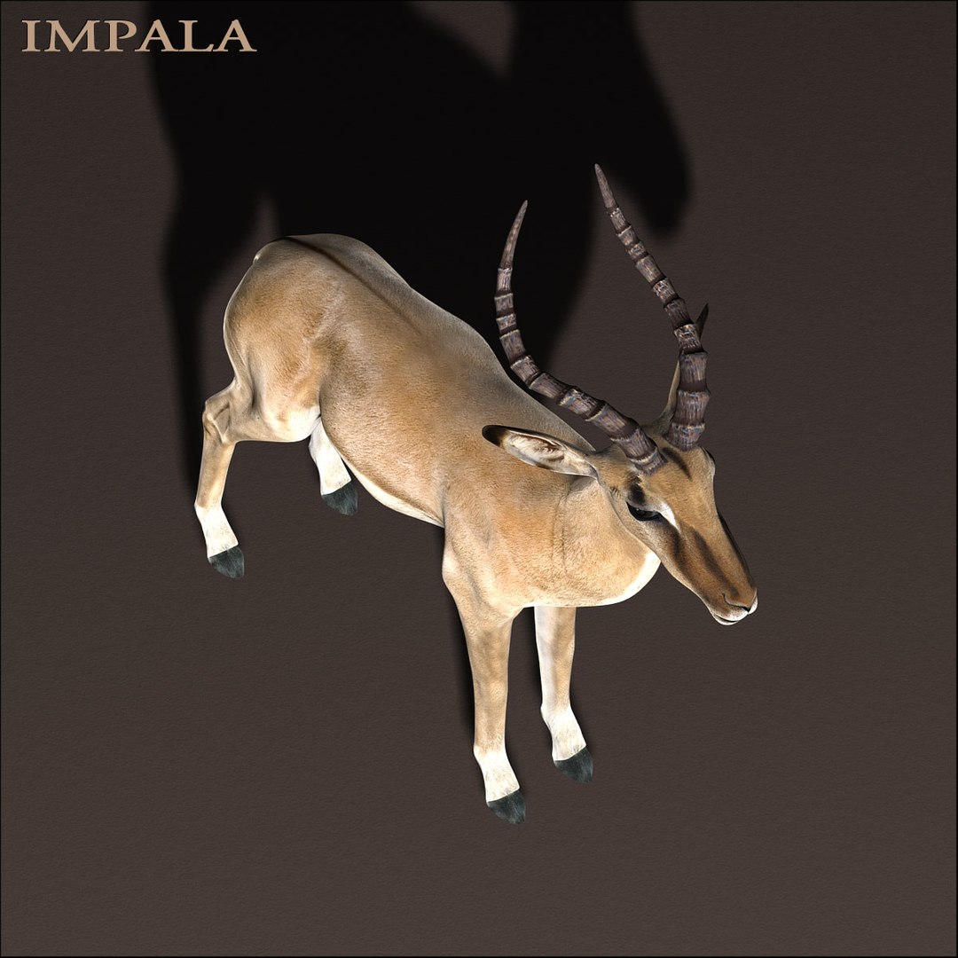 3d impala modeled model