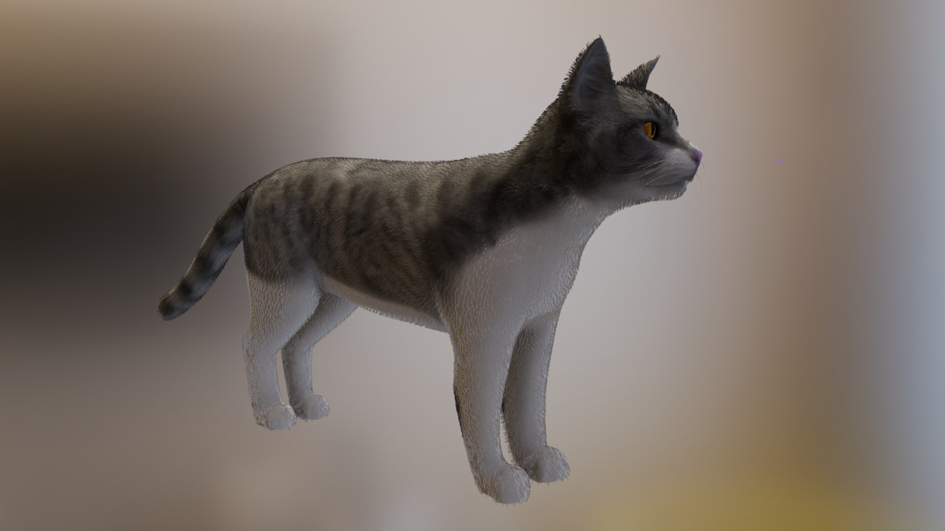 Domestic Cat 3D Model - TurboSquid 2370792