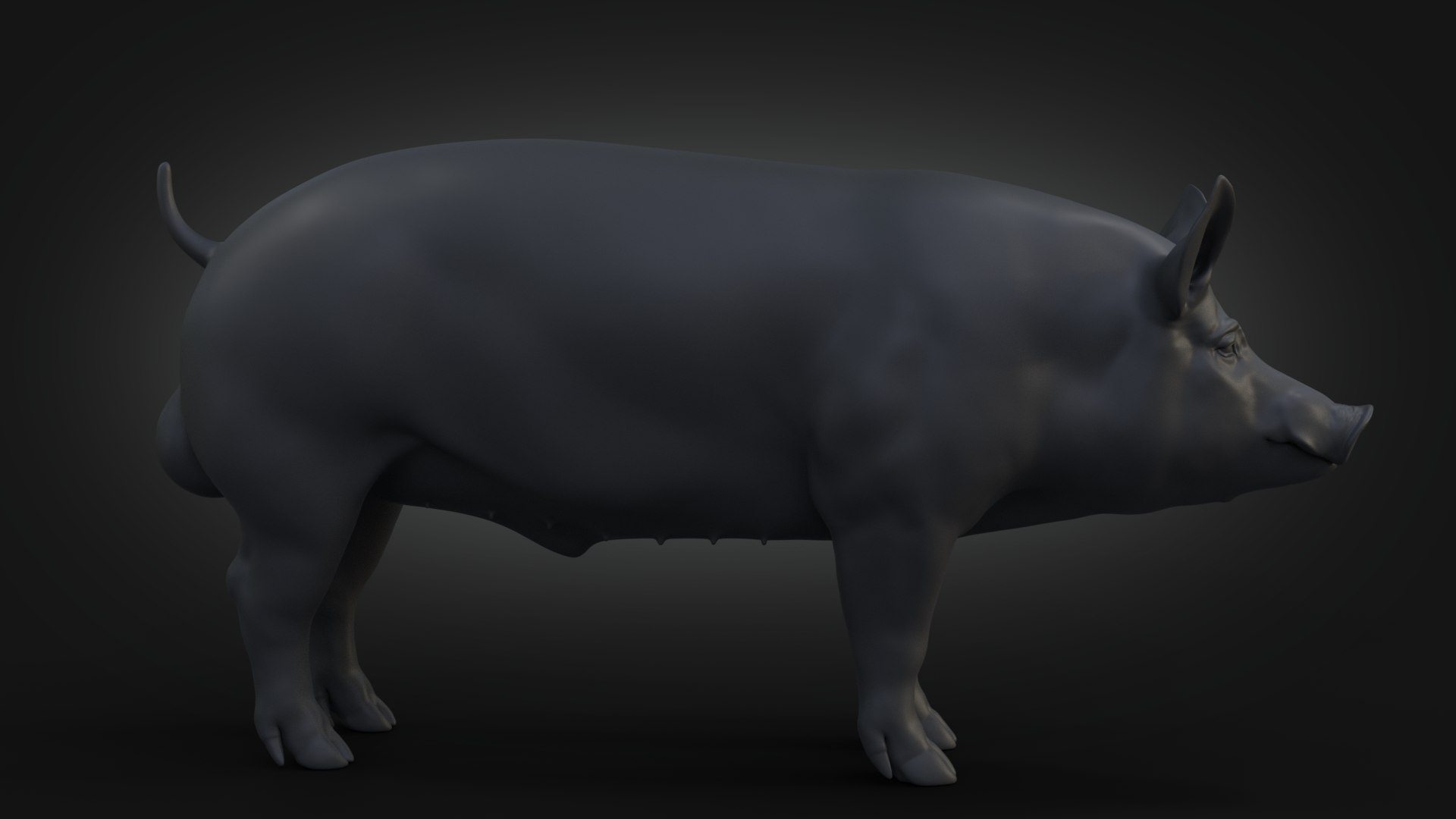 Realistic Pig 3D Model - TurboSquid 1658423