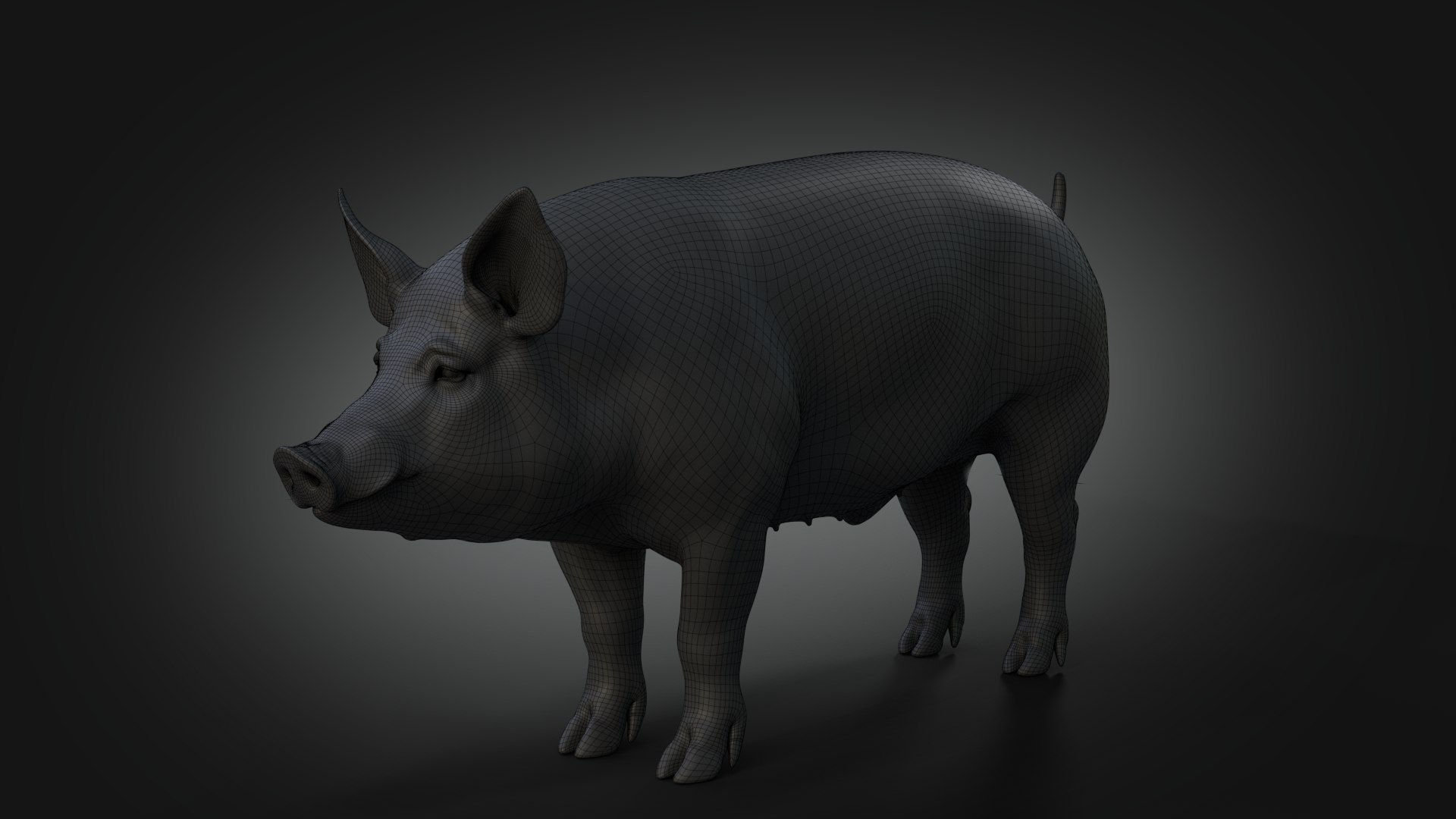Realistic Pig 3D Model - TurboSquid 1658423