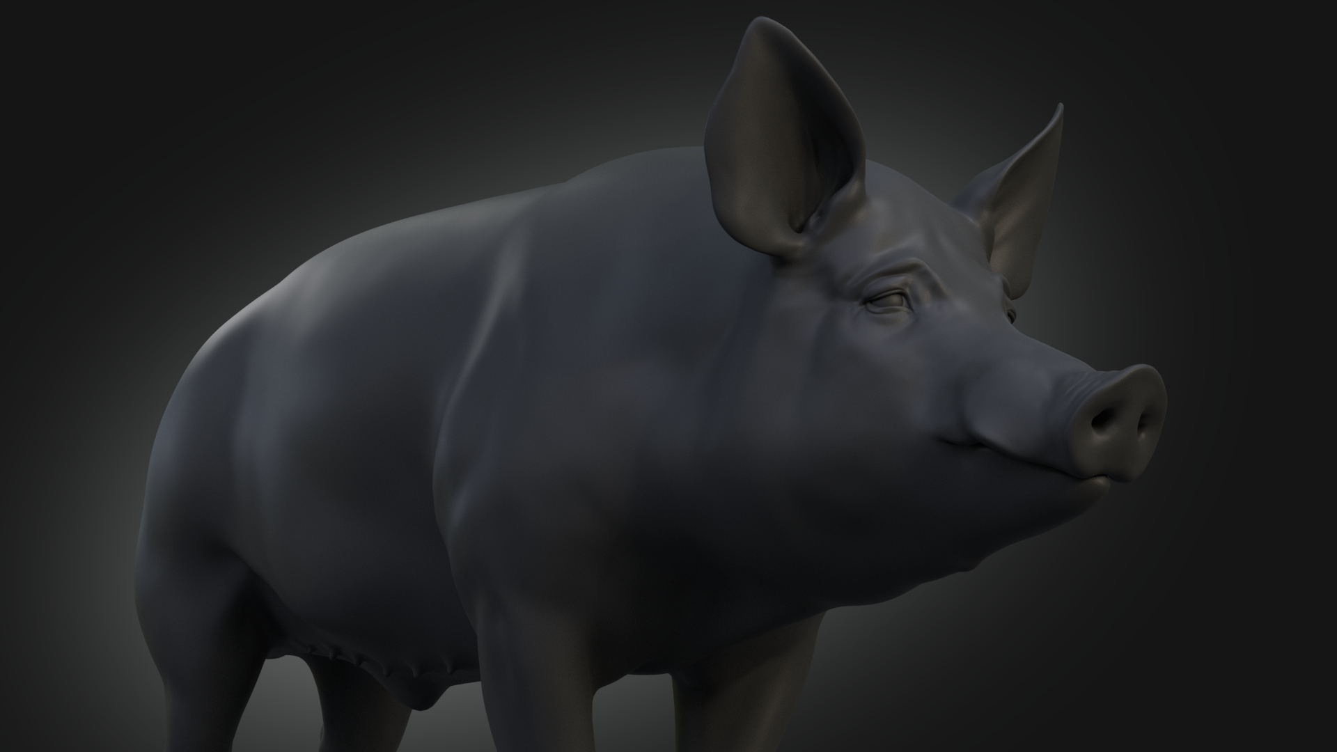 Realistic pig 3D model - TurboSquid 1658423