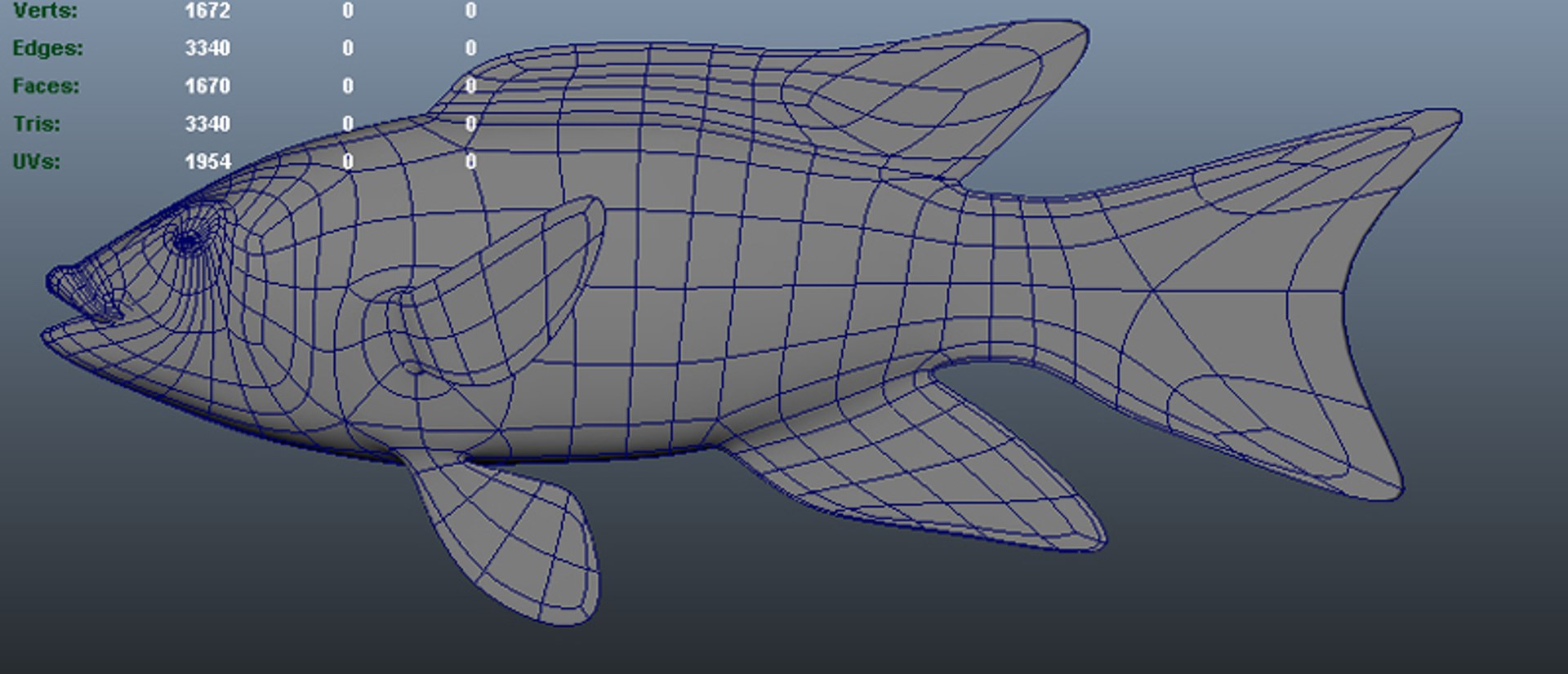 3d mexican hogfish model