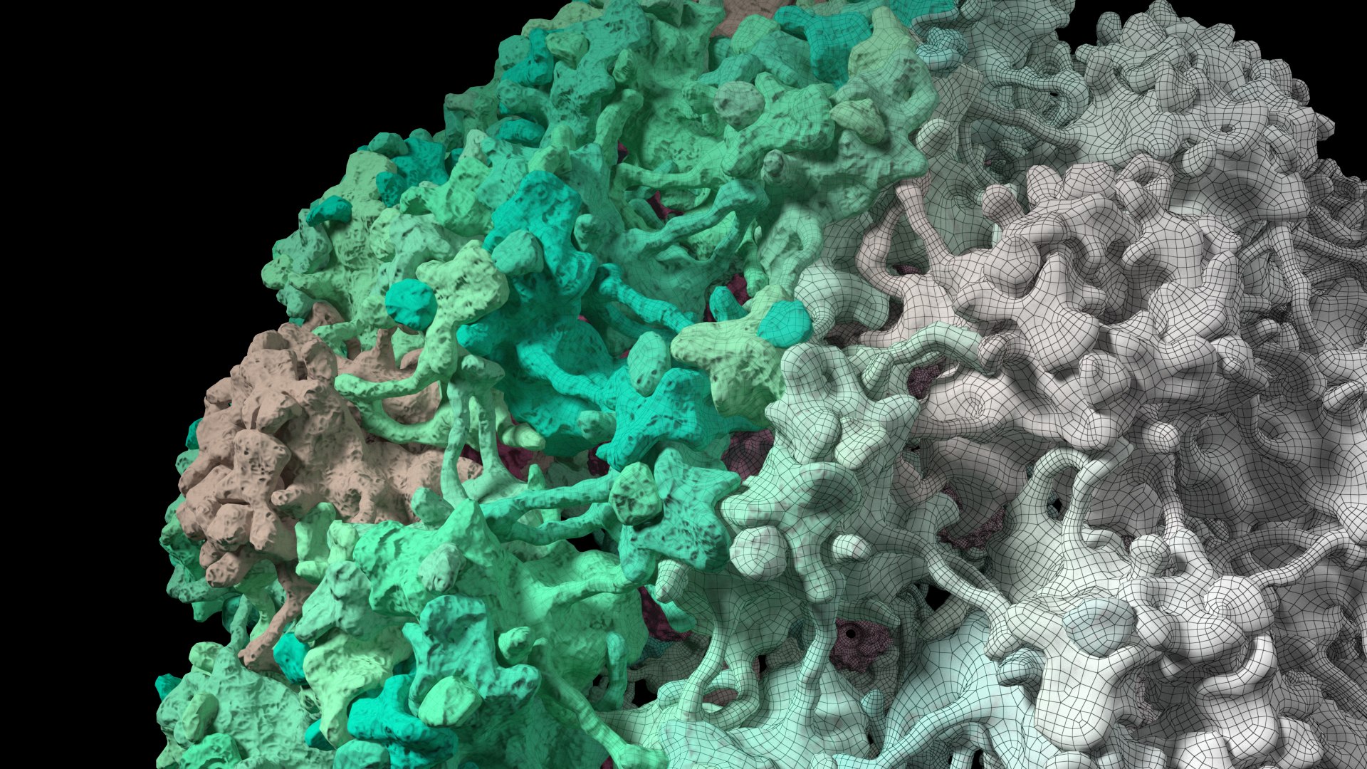 Capsid Ot The Humane Papillomavirus Type 16 3D Model - TurboSquid 2231647