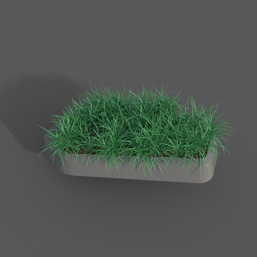 3D Lawn Model - TurboSquid 2148297