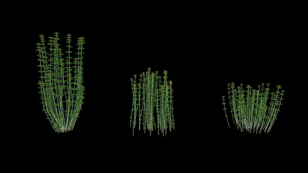 3D lod2 model - TurboSquid 1661460