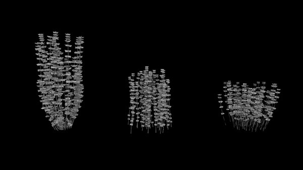 3D lod2 model - TurboSquid 1661460