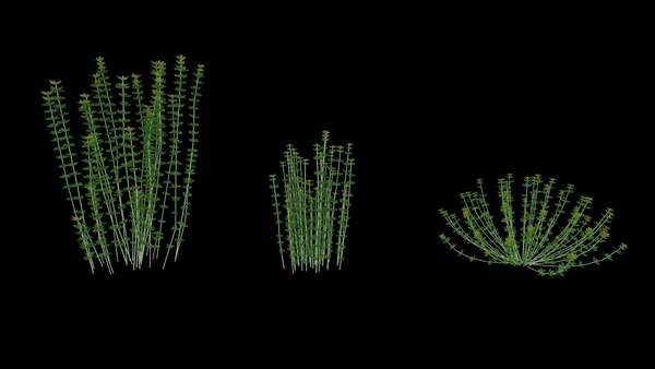 3D lod2 model - TurboSquid 1661460