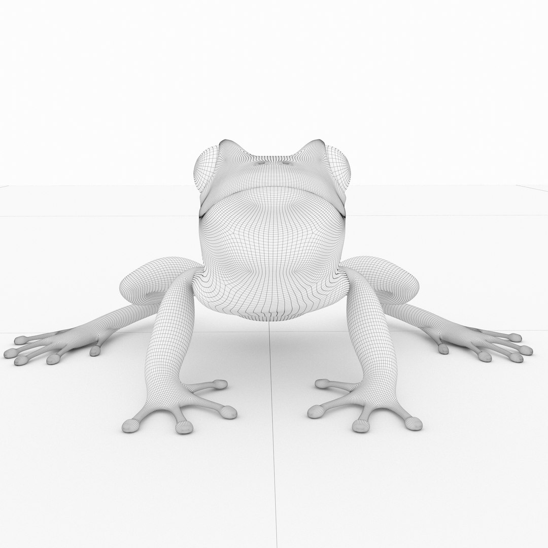 Frog Amphibian Animal 3D - TurboSquid 1447233