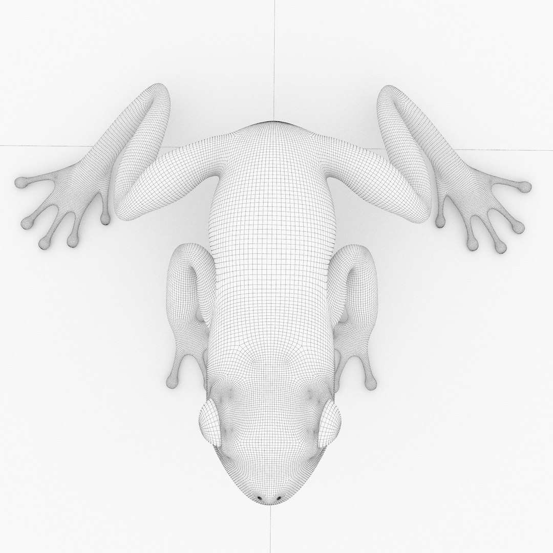 Frog Amphibian Animal 3D - TurboSquid 1447233