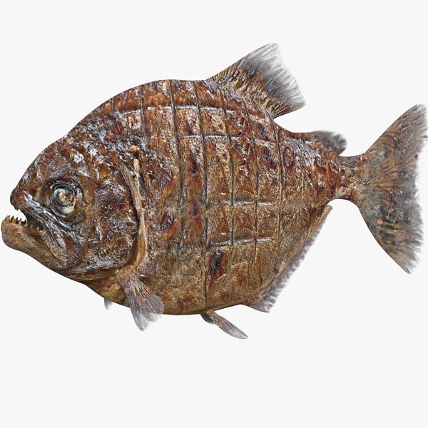 Piranha 3D Models for Download | TurboSquid
