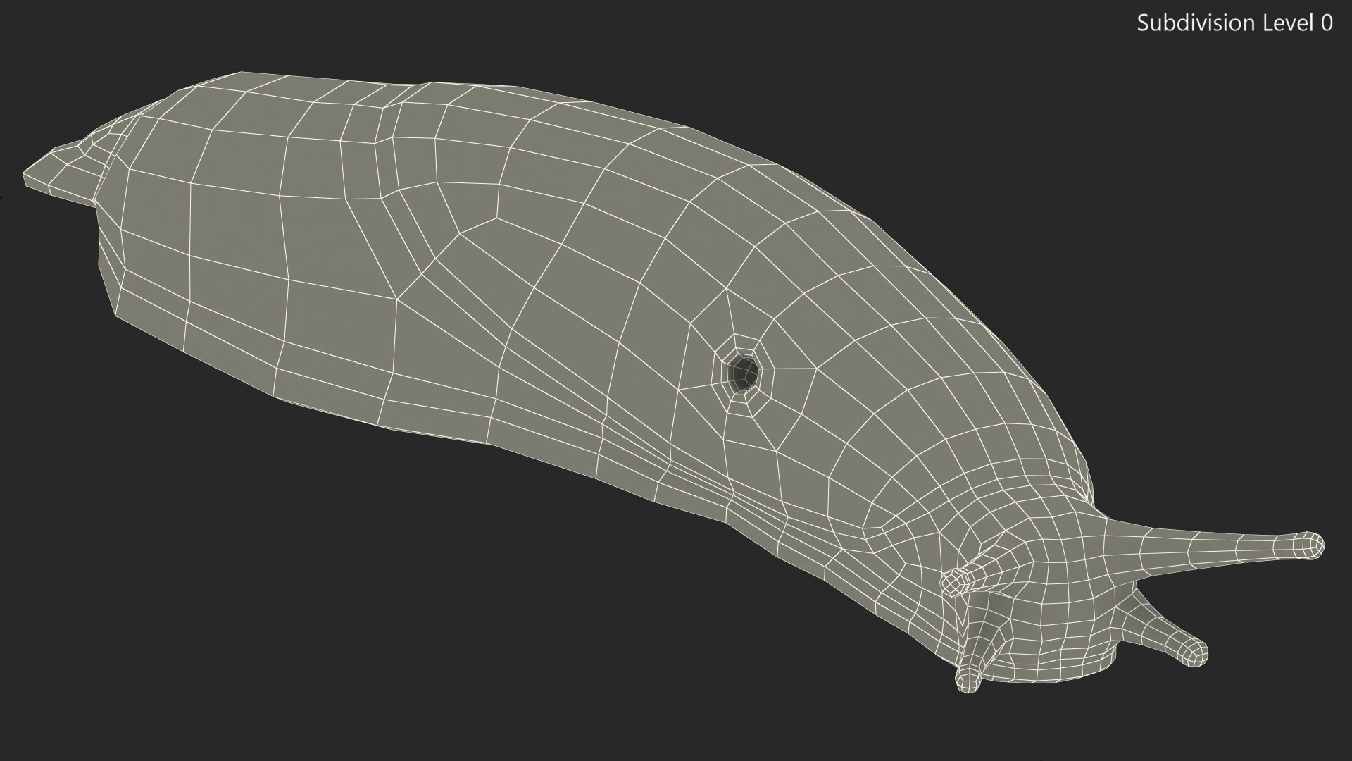 Great Grey Slug Lying 3D Model - TurboSquid 2015331