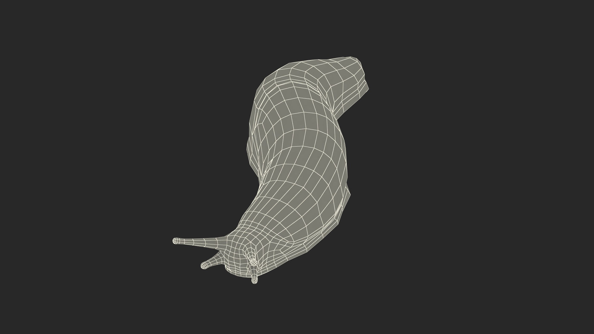 Great Grey Slug Lying 3D Model - TurboSquid 2015331