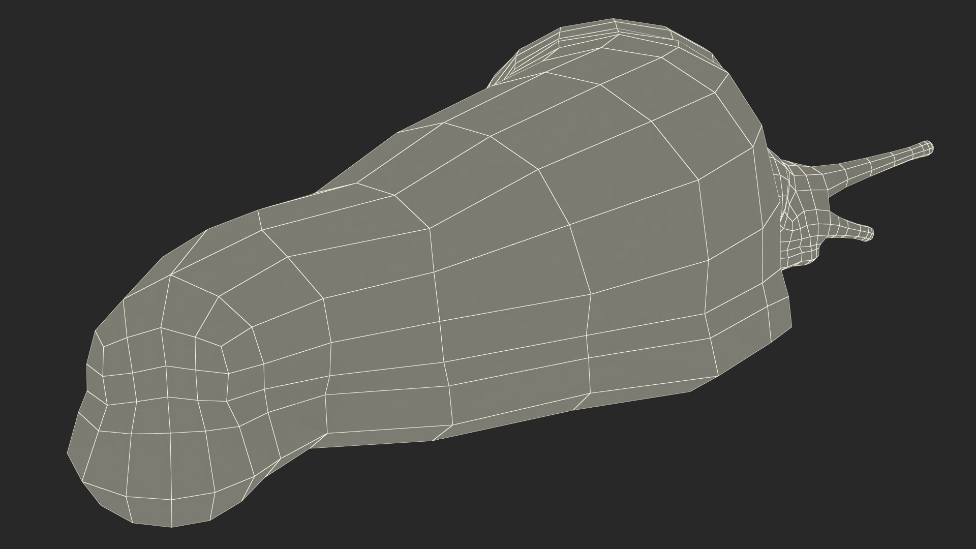 Great Grey Slug Lying 3D model - TurboSquid 2015331