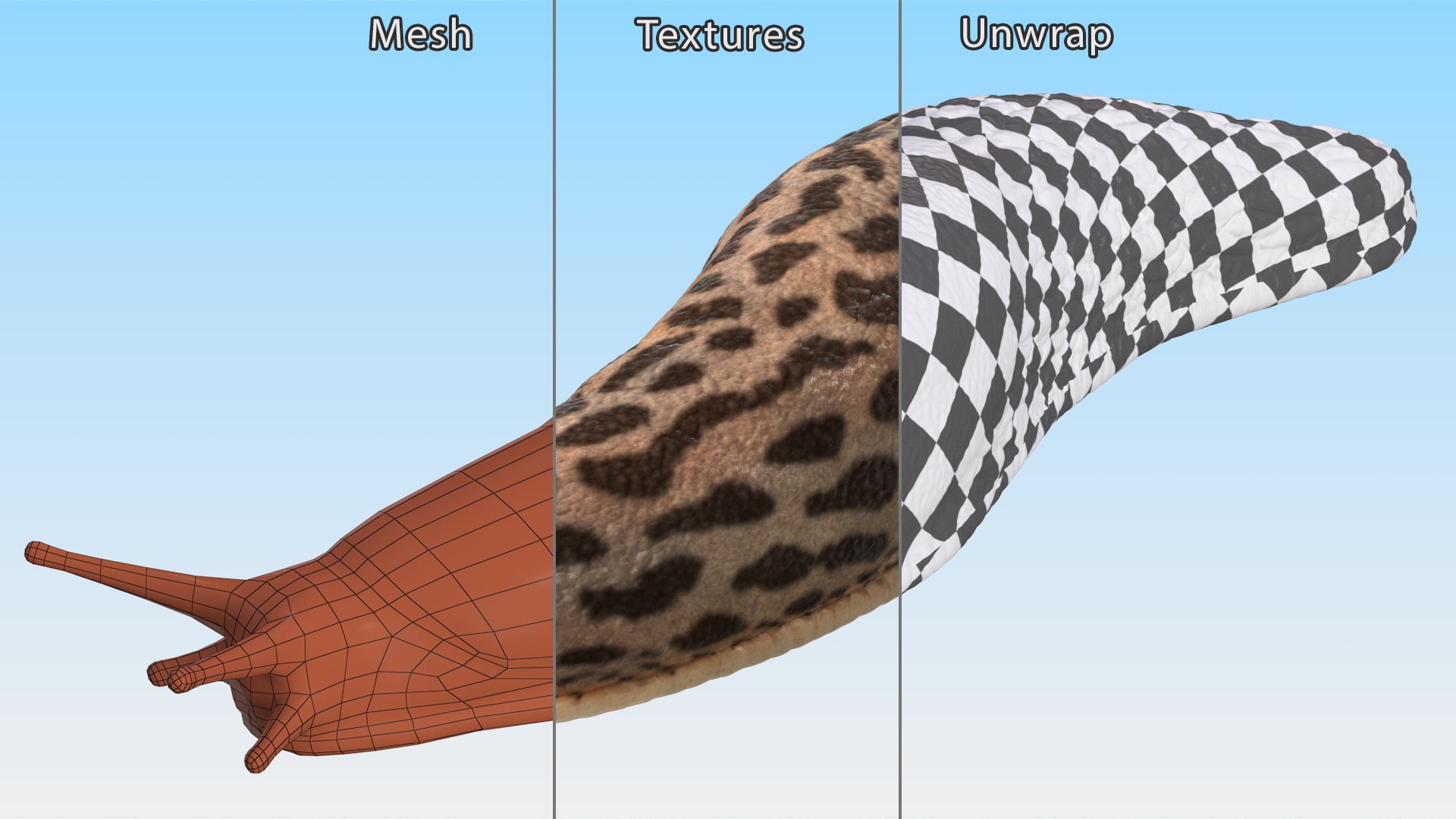 Great Grey Slug Lying 3D Model - TurboSquid 2015331