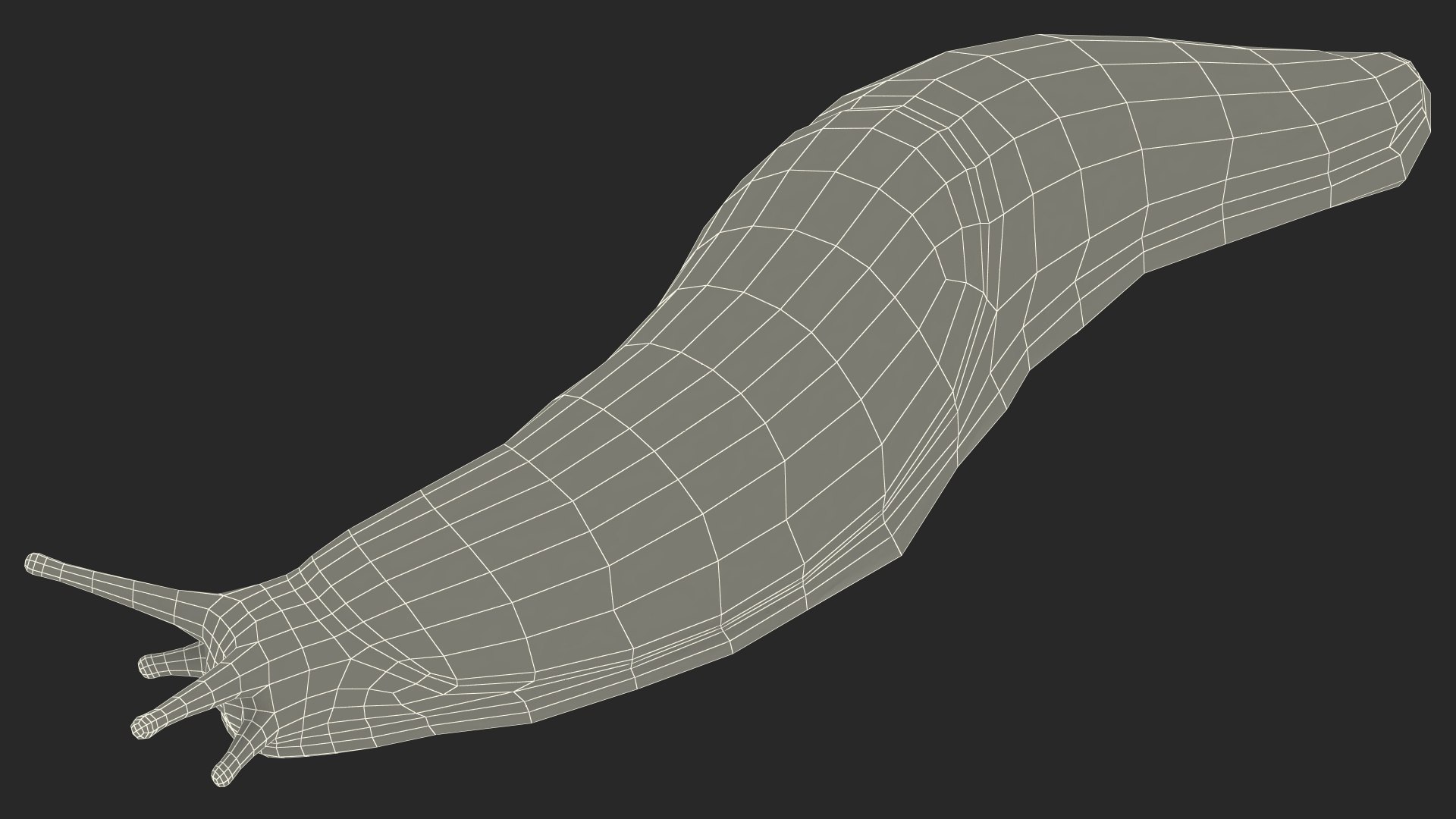 Great Grey Slug Lying 3D Model - TurboSquid 2015331