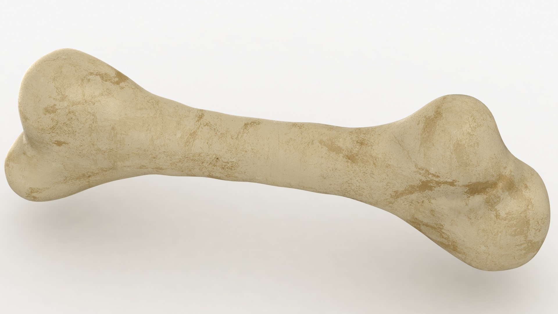 Realistic Dog Bone 3D - TurboSquid 1566272